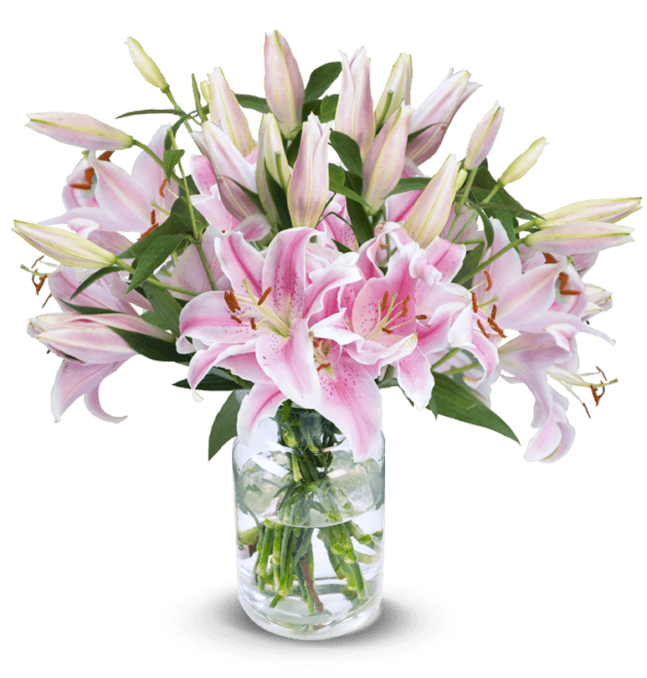 15 pinke Lilien – eleganter Lilienstrauß | BlumeIdeal.de